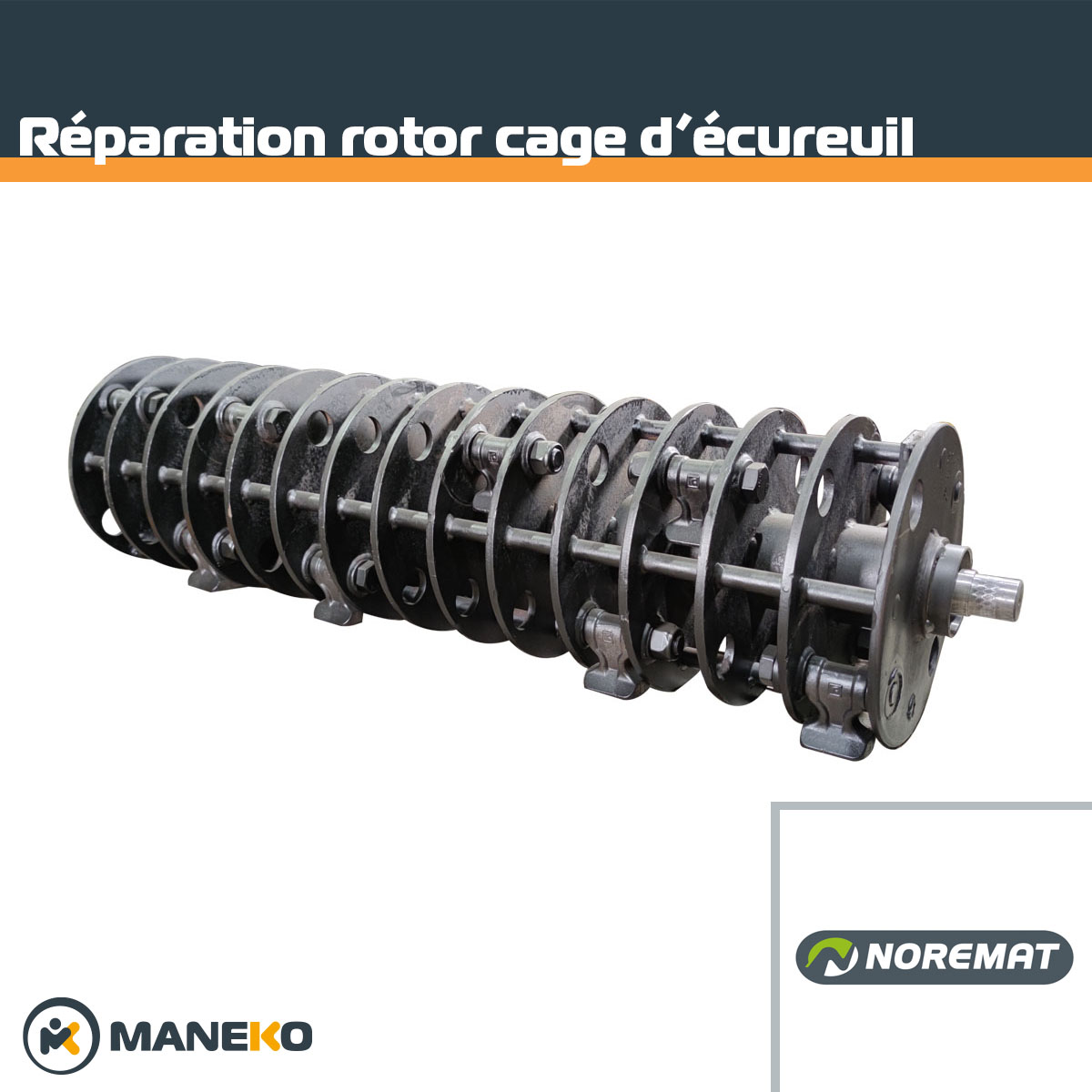 FORFAIT REPARATION ROTOR CAGE D'ECUREUIL ROUSSEAU - Maneko